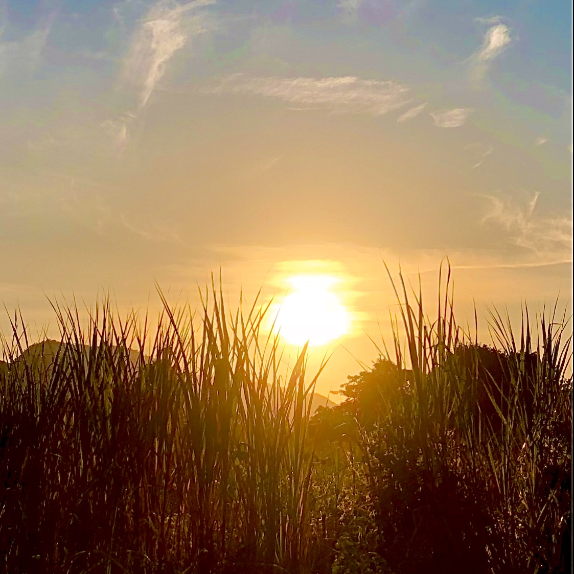 🔊Blaze Bright🔊 | KBOO