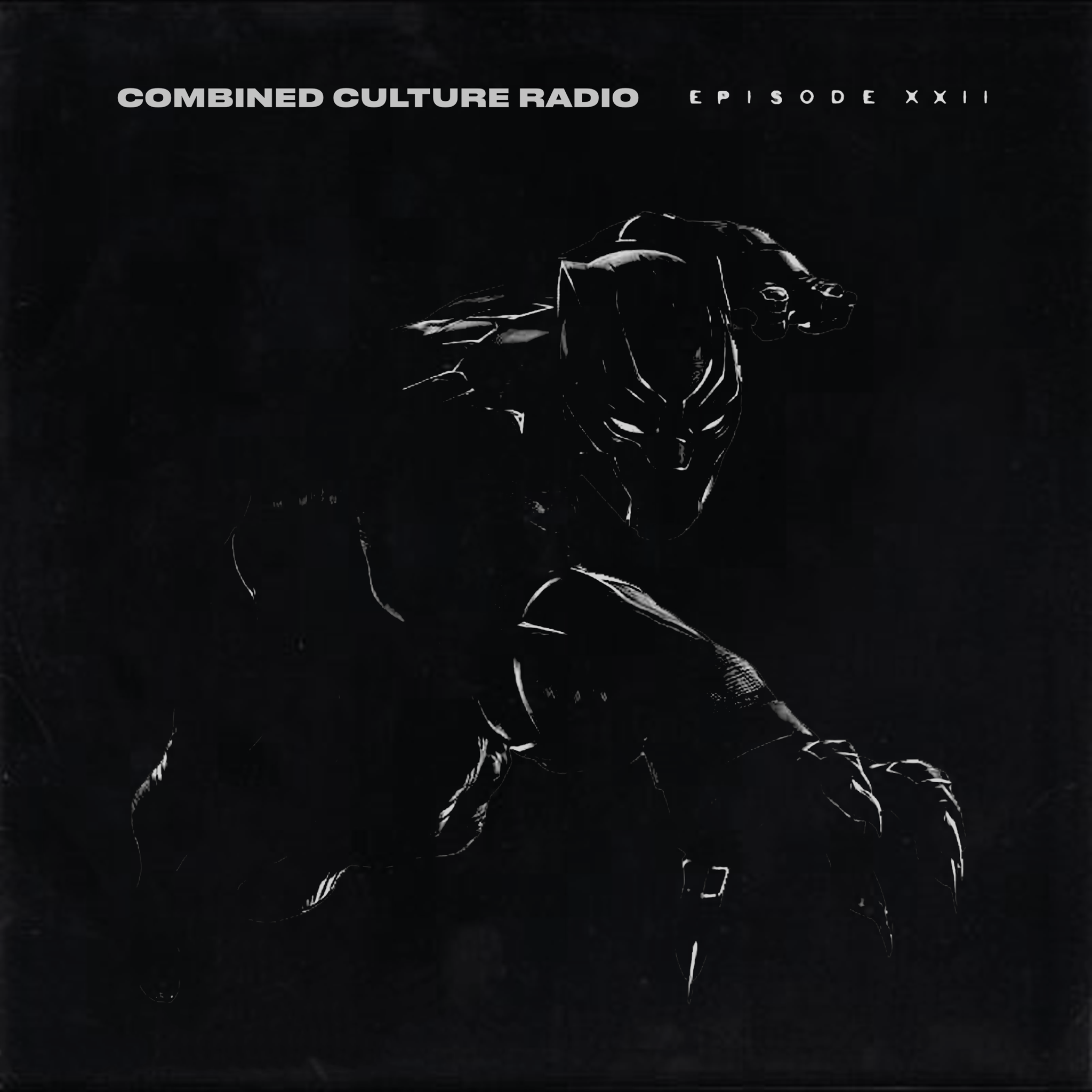 Combined Culture Radio- Episode 22 | KBOO